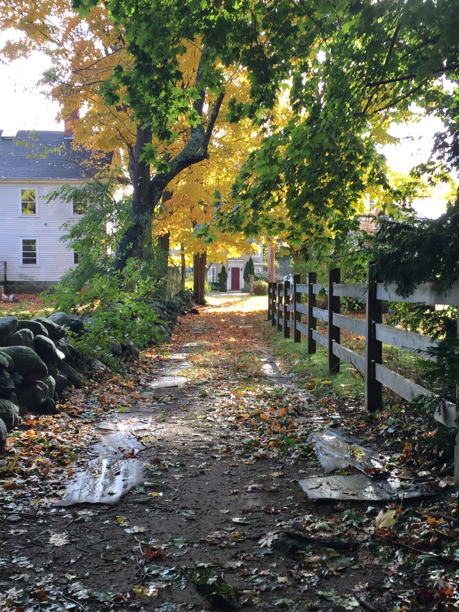 Salem Witch Trials – Specters of Salem Village