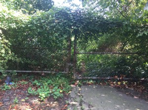 Nuclear Missiles in Danvers – Specters of Salem Village